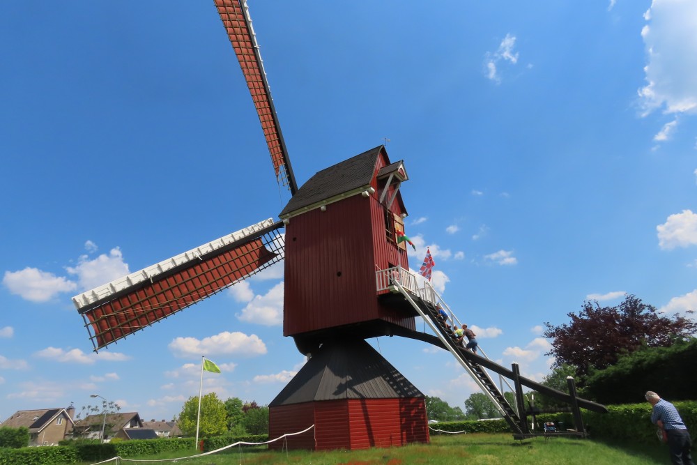 Moergestelse molen doet mee met Nationale Molendag 2025 | Oisterwijk Nieuws