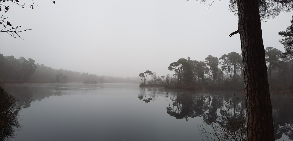 O’ wat ben je mooi | Oisterwijk Nieuws