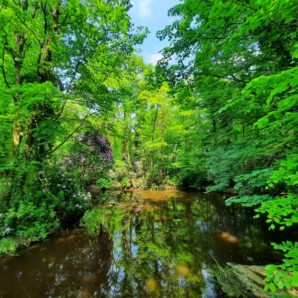 O’ wat ben je mooi | Oisterwijk Nieuws